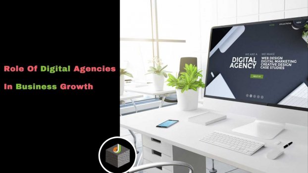 Role Of Digital Agencies In Business Growth in 2026 - DigitalWebServices