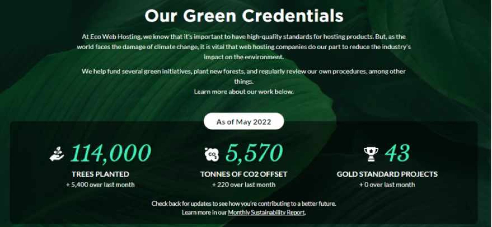 What is Green Hosting and How Does it Work?
